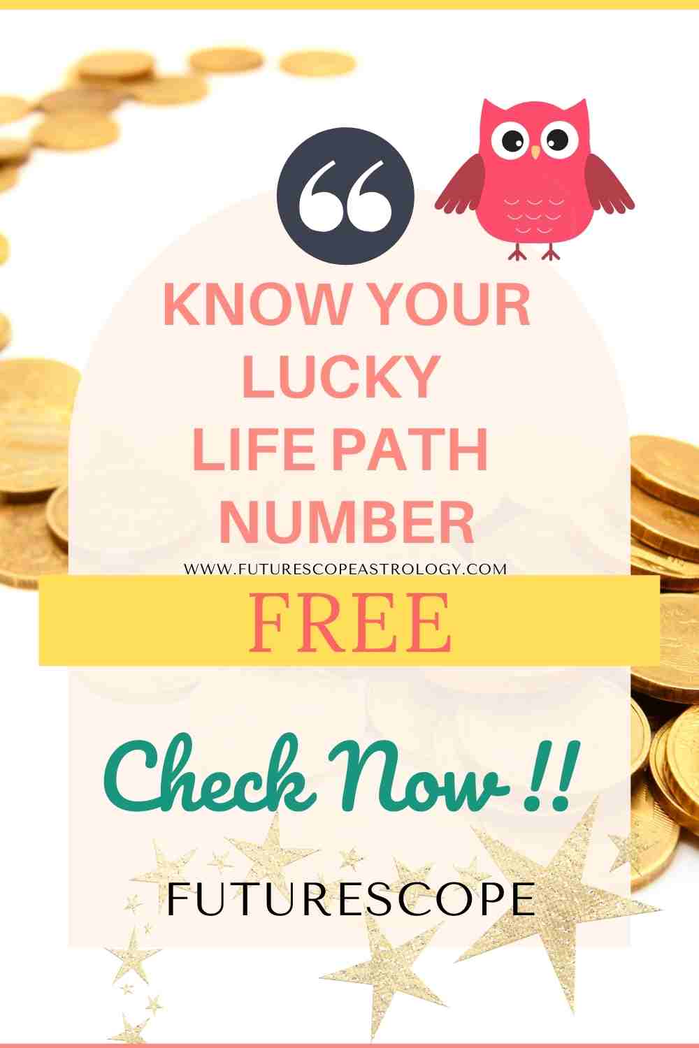 Life Path Number 1 - FutureScopeAstro Life Path Number 1 - FutureScopeAstro